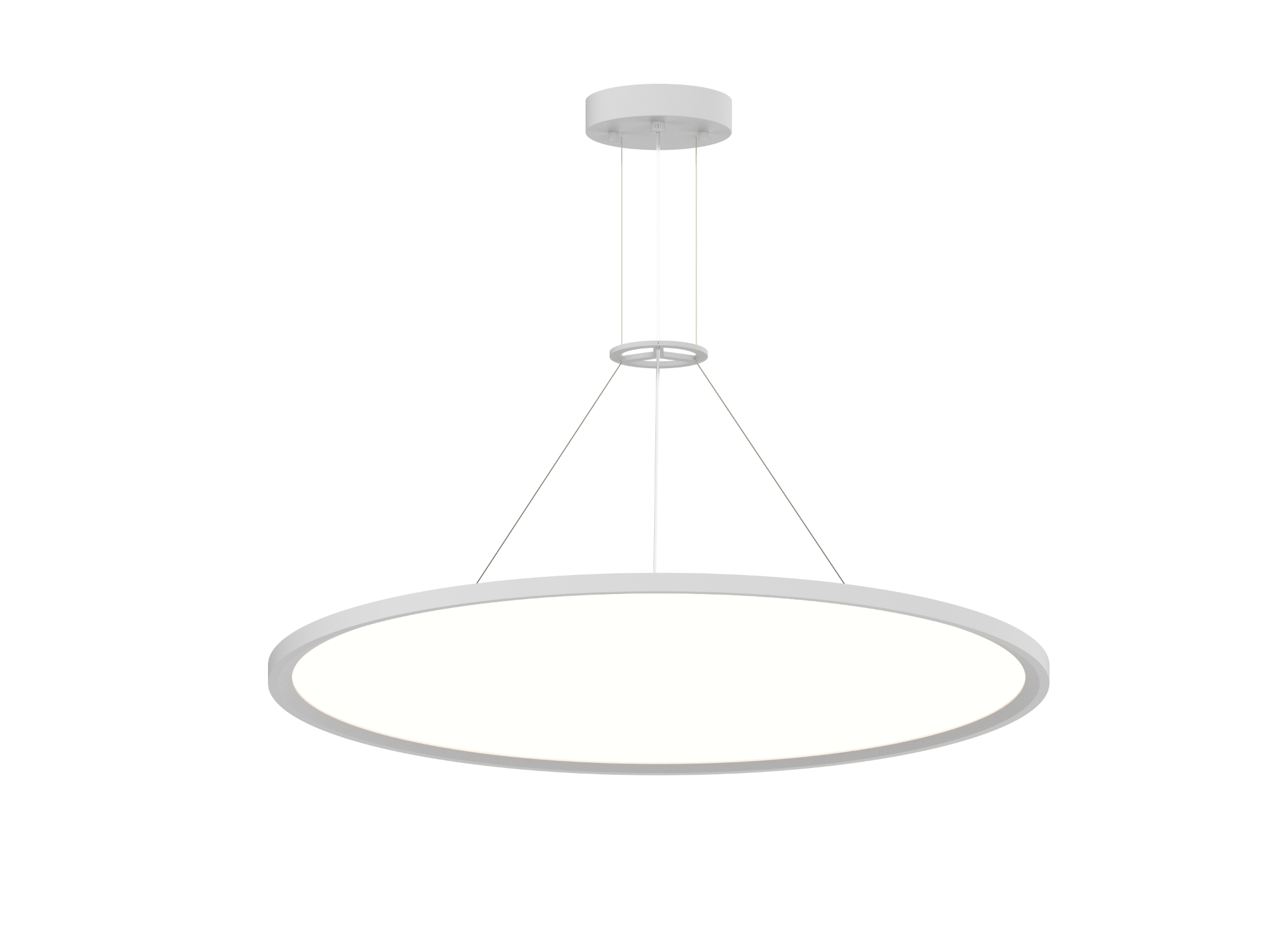 ARC LED Pendant light