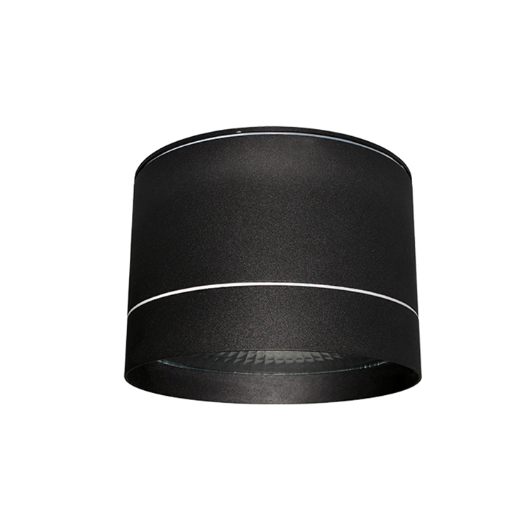 IP65 Cylinder 20W 30W Surface Mounted Led Downlight Outdoor Led Ceiling ...